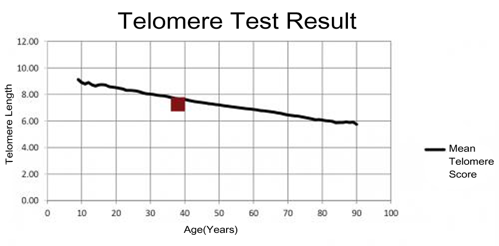 How are the Telomere Test results – OWF HOLDINGS INTERNATIONAL